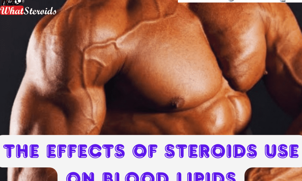 The Effects of Steroids Use on Blood Lipids - What Steroids Blog