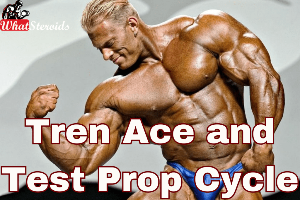 Tren Ace & Test Prop Steroid Cycle | What Steroids