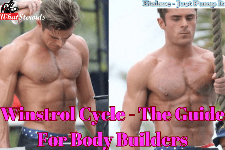 Winstrol Cycle - The Guide For Body Builders - What Steroids Blog