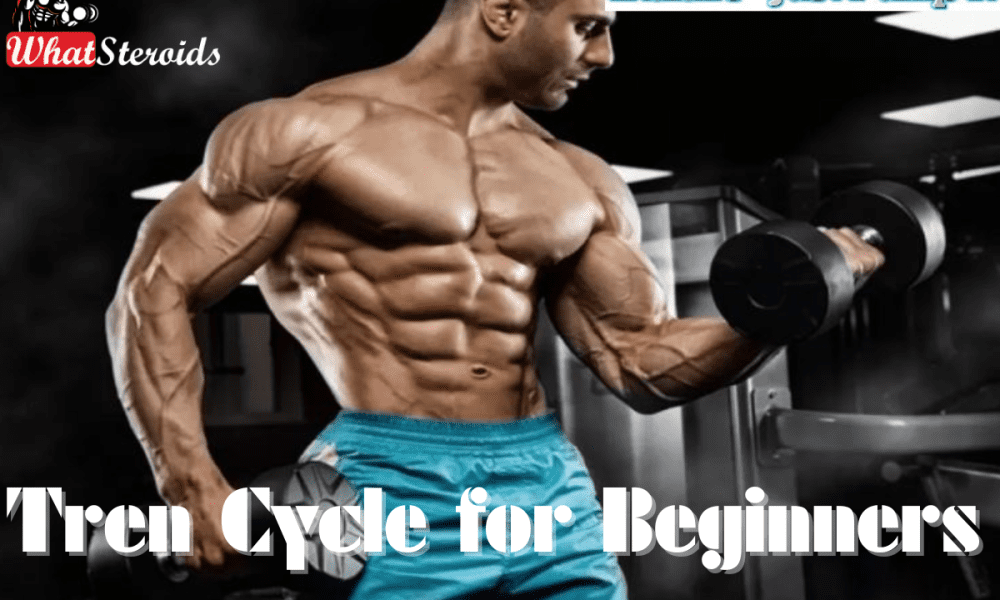 Tren Cycle for Beginners - What Steroids Blog
