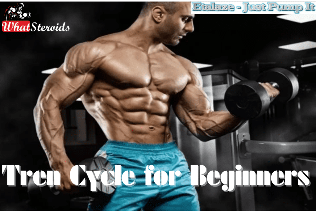 Tren Cycle for Beginners - What Steroids Blog