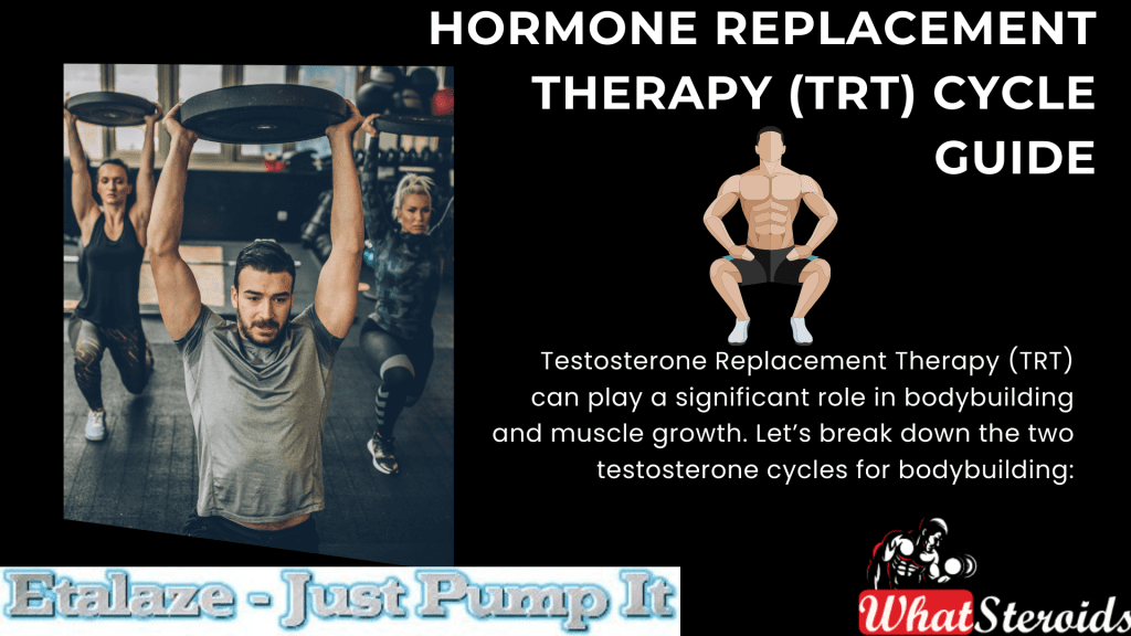 Hormone Replacement Therapy (TRT) Cycle Guide - What Steroids Blog