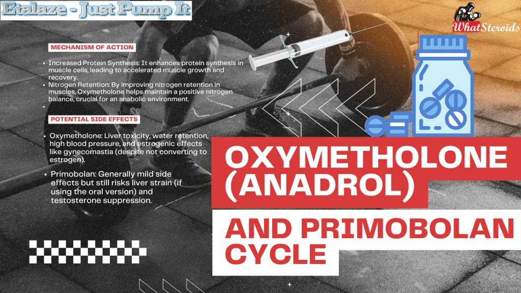 Oxymetholone (Anadrol) and Primobolan Cycle - What Steroids Blog