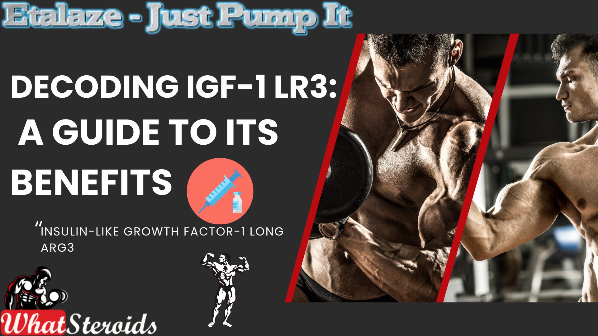 Decoding IGF-1 LR3: A Guide to its Benefits - What Steroids Blog