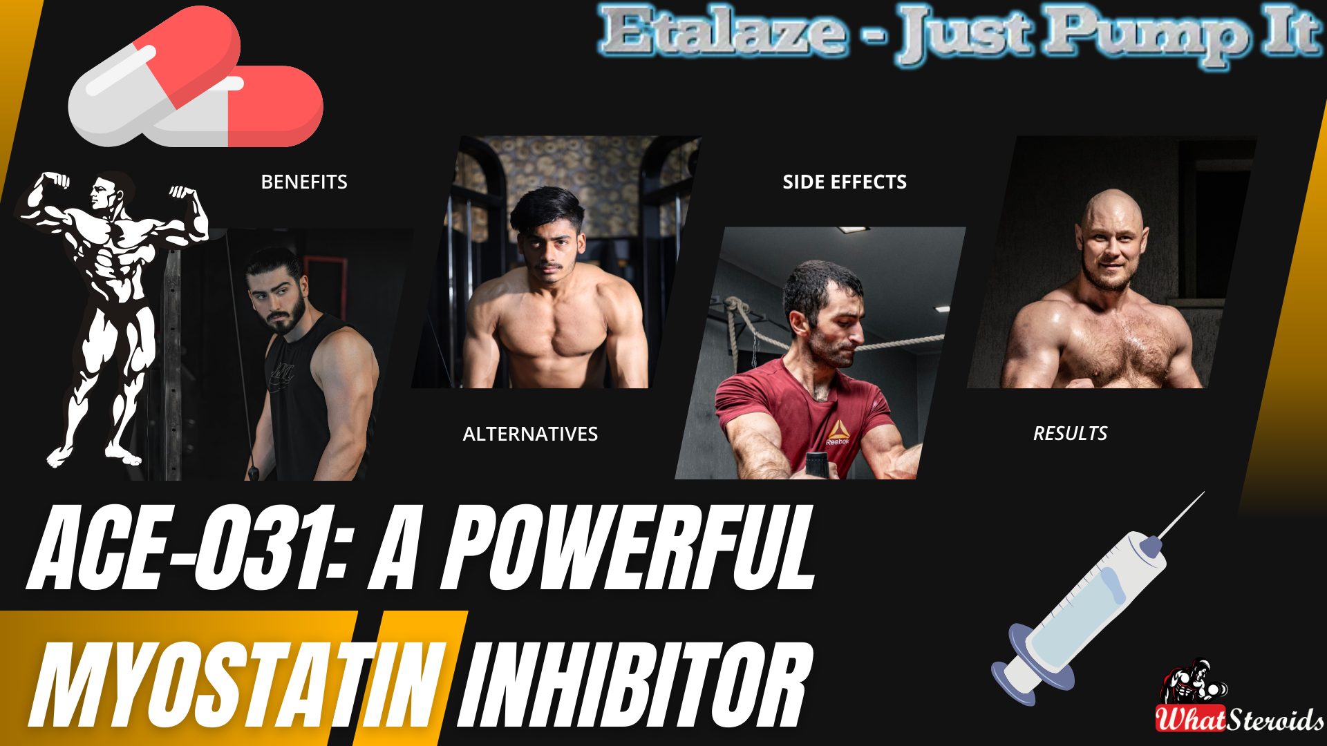 ACE-031: A Powerful Myostatin Inhibitor - What Steroids Blog