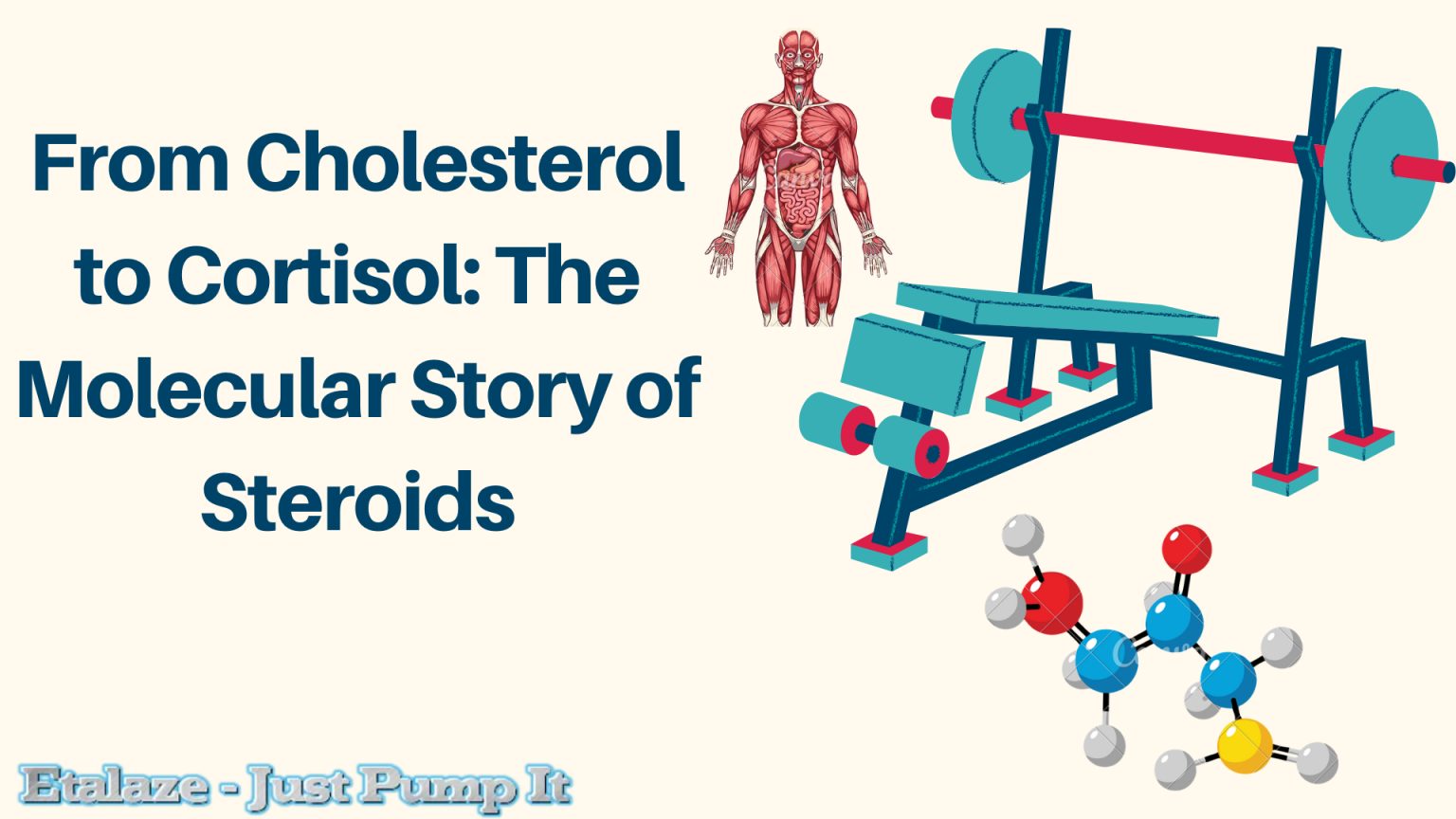 Battle of the Cutting Kings: Primobolan vs Masteron - What Steroids Blog