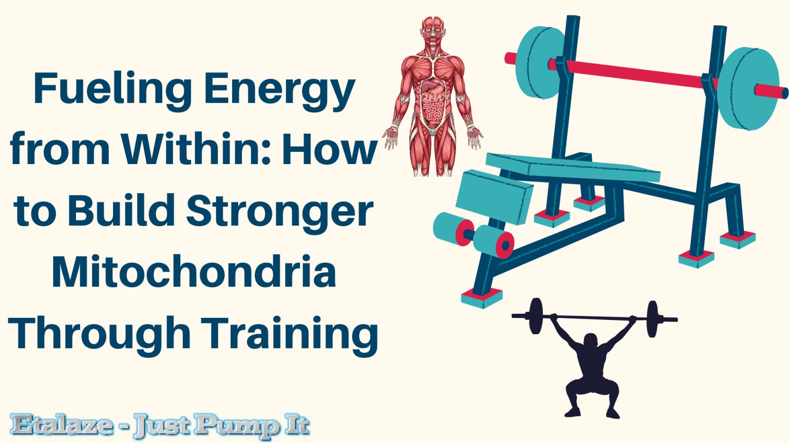 Raloxifene (Evista) 101: A Non-Surgical Solution for Gyno - What Steroids Blog